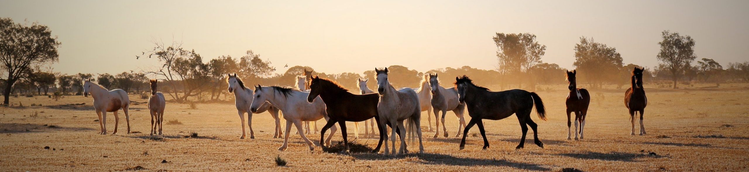 About the Western Region | Life and Light Photography Competition